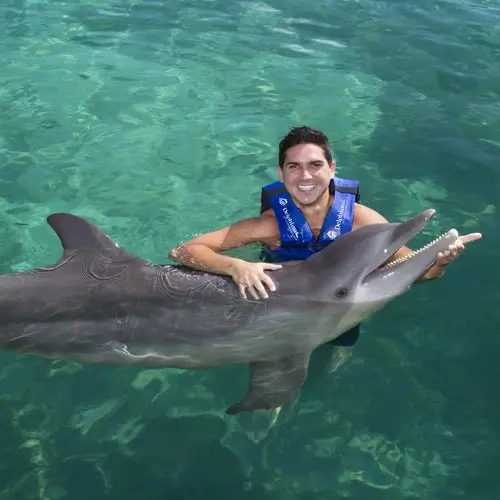 Delphinus Xcaret: nadar com golfinhos - Playa del Carmen | Hurb